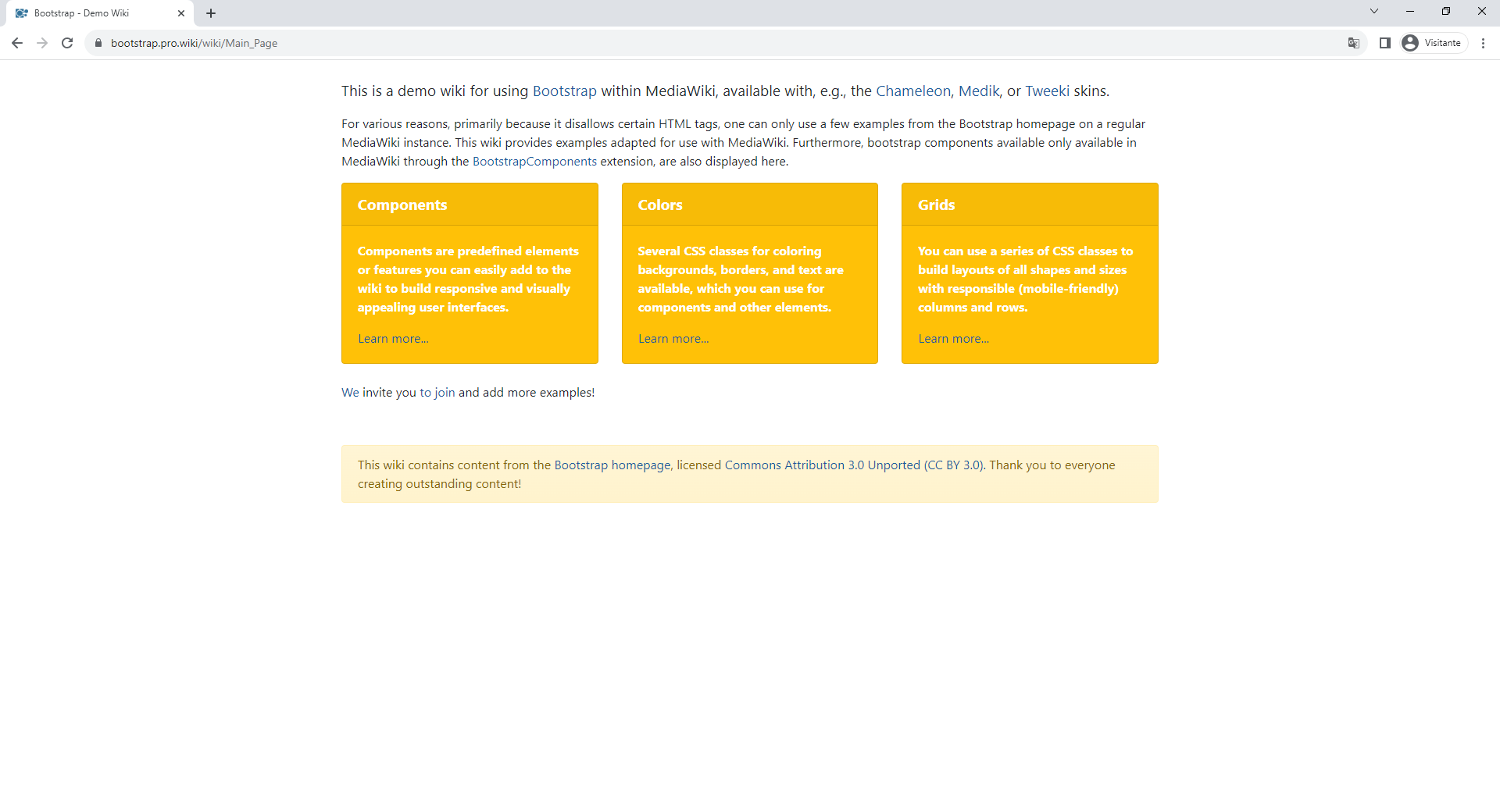Chameleon skin - clean layout - Bootstrap - Demo Wiki