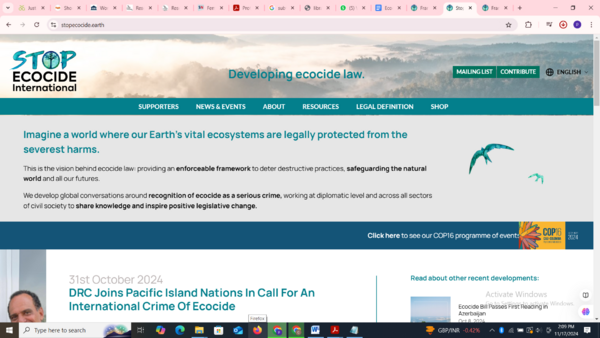 Ecocide - Justice Definitions Project