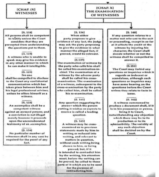 Witness - Justice Definitions Project