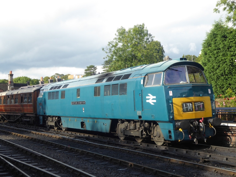 BR Class 52 D1015 Western Champion - SVR Wiki