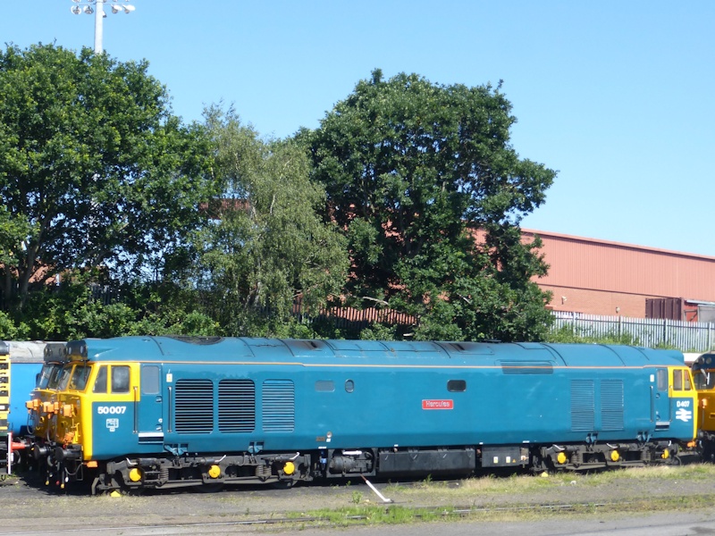 BR Class 50 50007 Hercules - SVR Wiki
